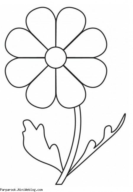 طرح های رنگ آمیزی انواع گل